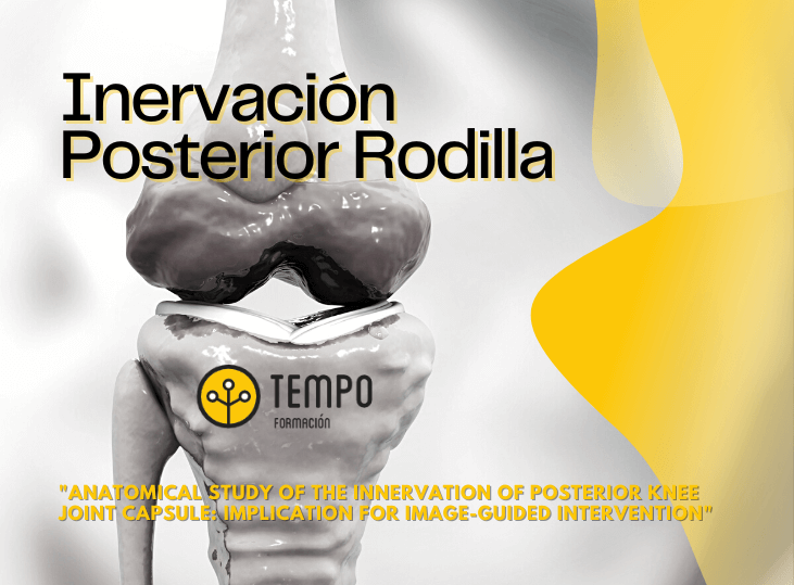 Inervación Posterior Rodilla | Tempo Formación